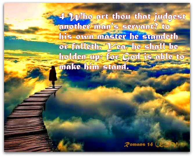 Red Pill Diaries: Romans 14 (KJV)