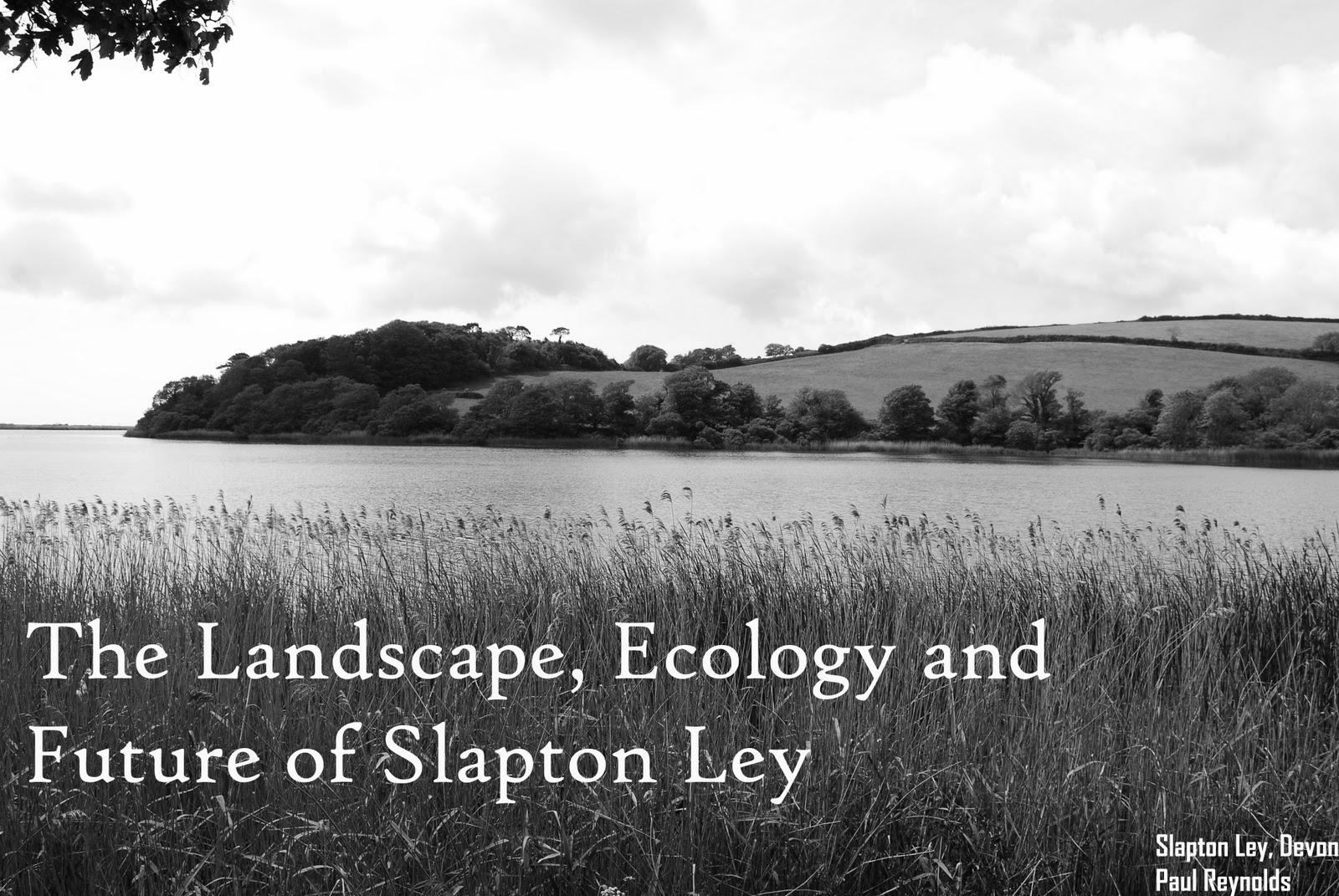 Eco Primate: The landscape, ecology a future of Slapton Ley