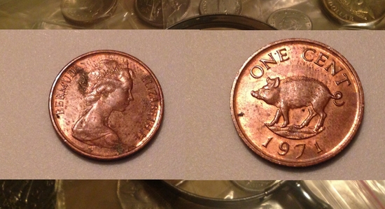 Old Coins Rare Pennies: Copper Hog Penny There is a story behind the pig
