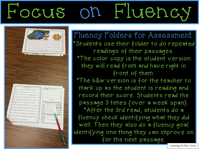 Fluency Fun! - Literacy with Aylin Claahsen