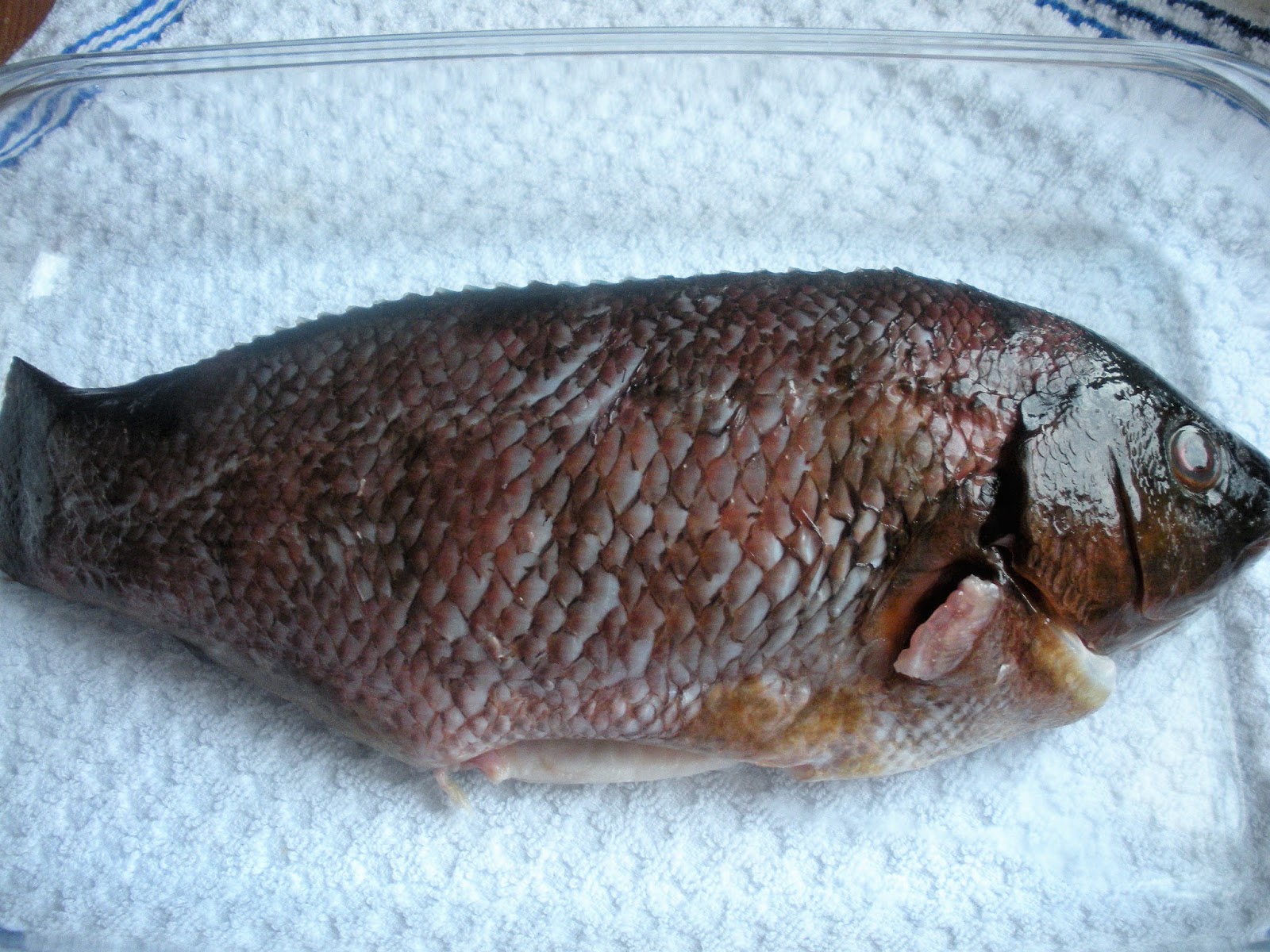 Aquí se cocina: Maragota al horno con verduras