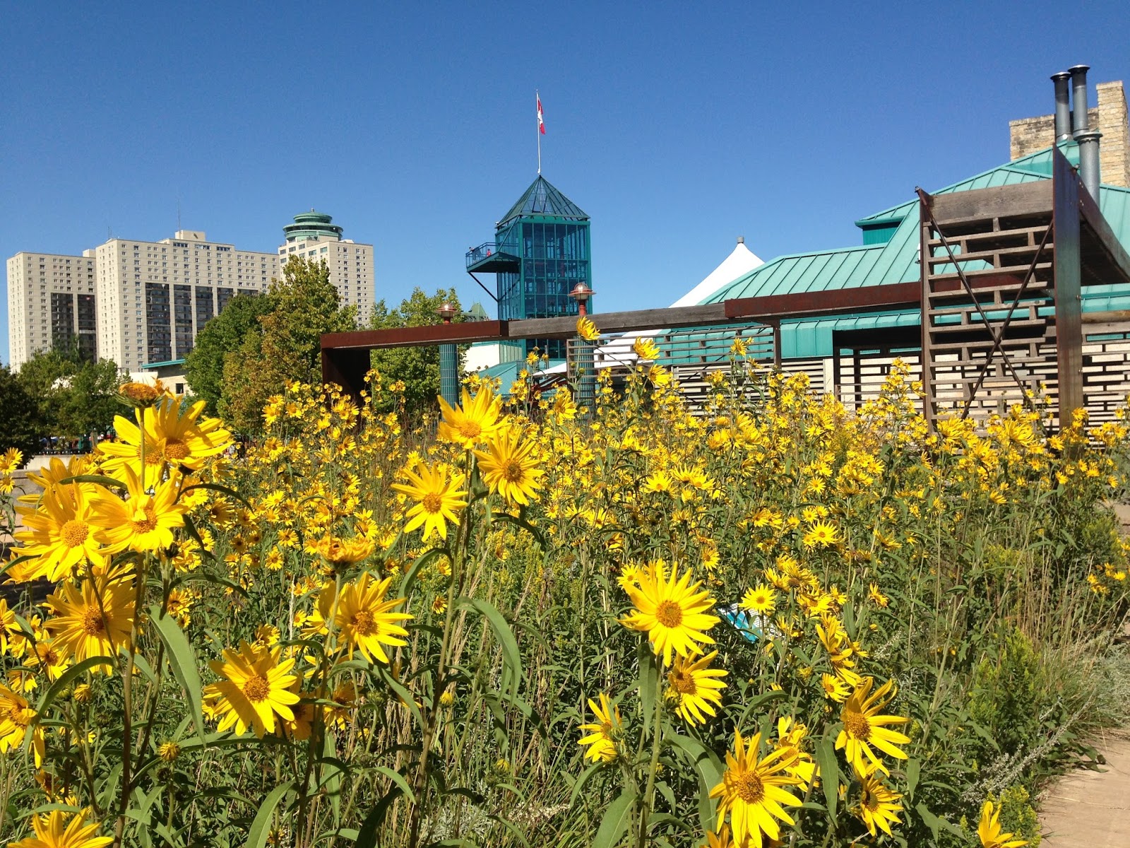 The Forks: Prairie Garden at The Forks