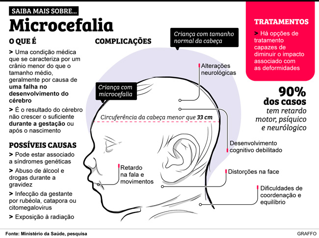 Prof. Vanessa W. Agostini: O que há por trás da microcefalia?