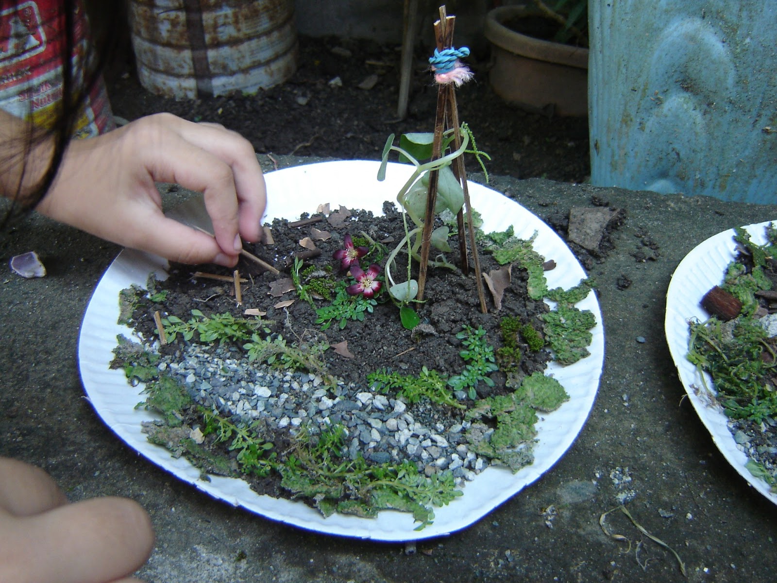 Riona's (A.K.A. Amorina) Pages: Miniature Moss Plate Garden