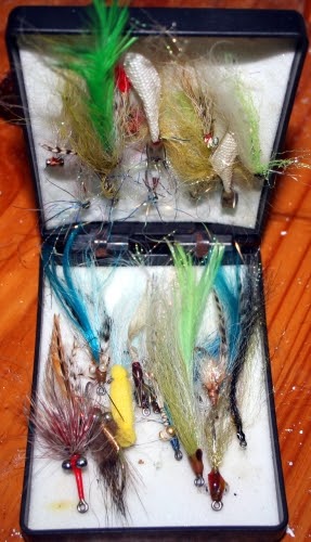 How to Get Started Saltwater Fly Fishing ~ Tacklebargains Fishing Tips ...