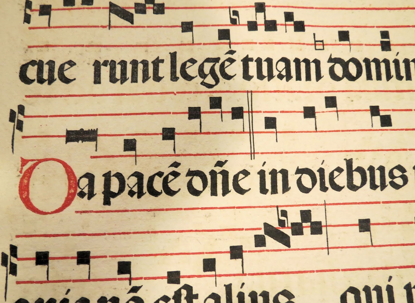 New Liturgical Movement: Why Do We Sing Liturgical Texts?