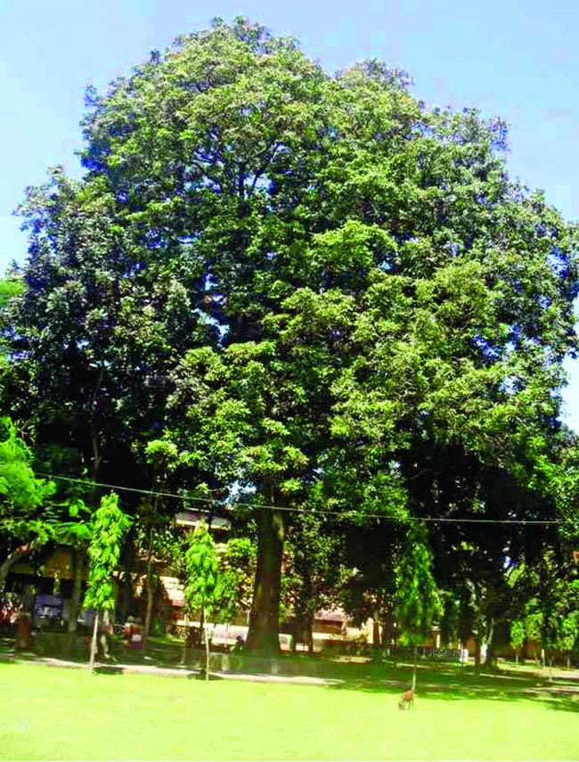 October 2012 ~ Important News Collections