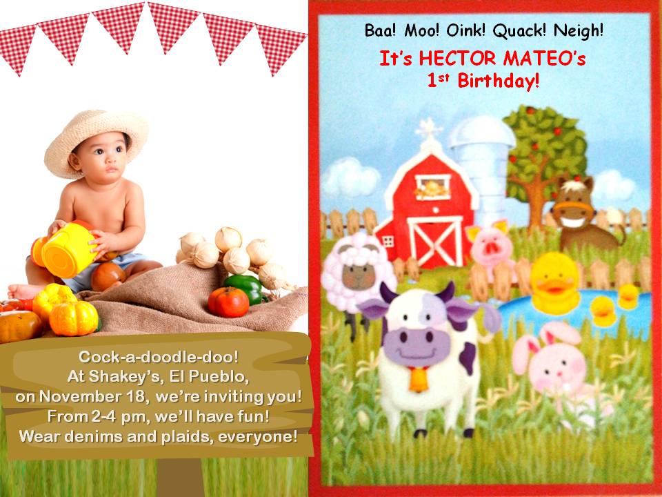 Mommy Bares All: Behind the Scenes of Mateo's Farm-themed First ...