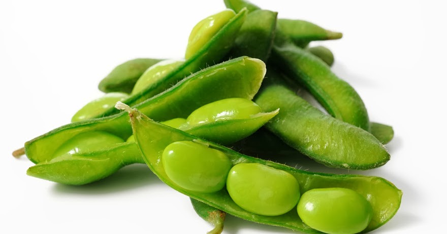 Budidaya Kedelai dan Cara Menanam Kedelai ~ Budidaya dan Olahan Tanaman