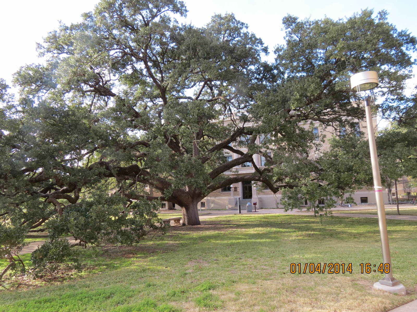 Grandpa Bill and Black Beauty Travel: Texas A. & M University, College ...