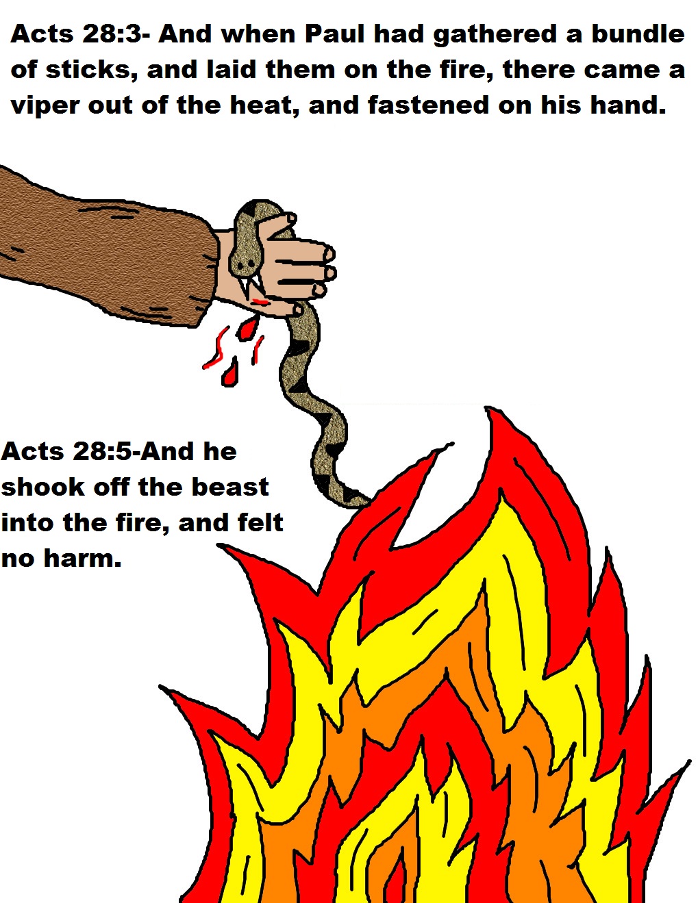 Church House Collection Blog Apostle Paul And Viper