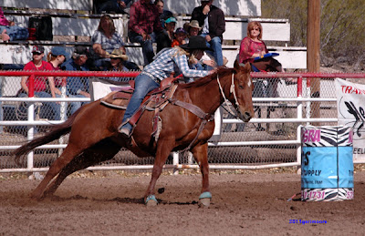 Happy Trails: Rodeo Time