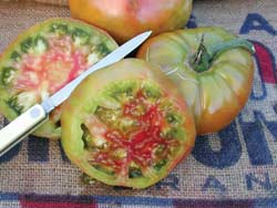 Naomi's Garden: What type of tomato to plant?