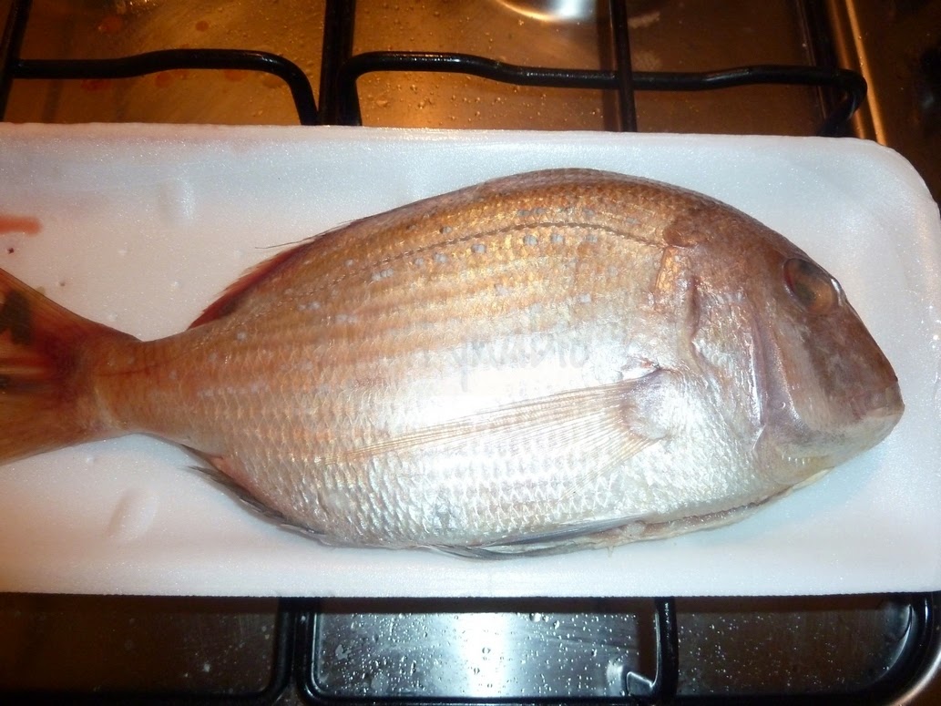 Katynabio: Pesce pagro al cartoccio