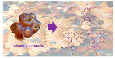 Apitherapy News: Stingless Bee Propolis Components from South Sulawesi ...