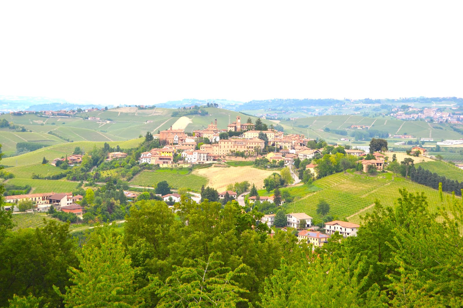 Castello di Neive un'azienda dal monopole storico