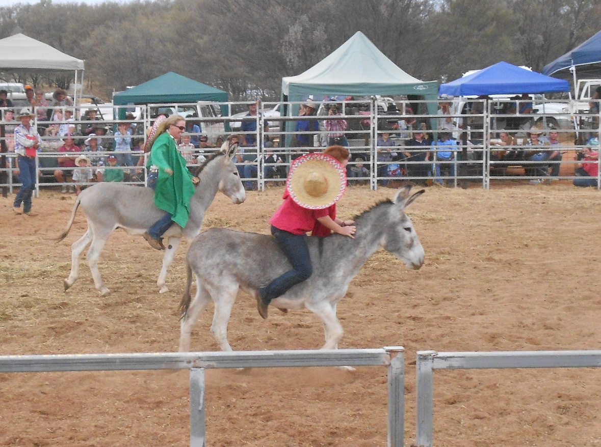 Ron & Anne's adventure: Bulls, dust and broken bones