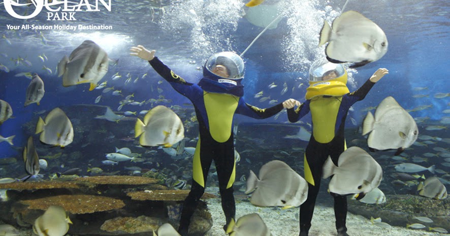 Manila Shopper: Manila Ocean Park Promo for Birthday Celebrators: til ...