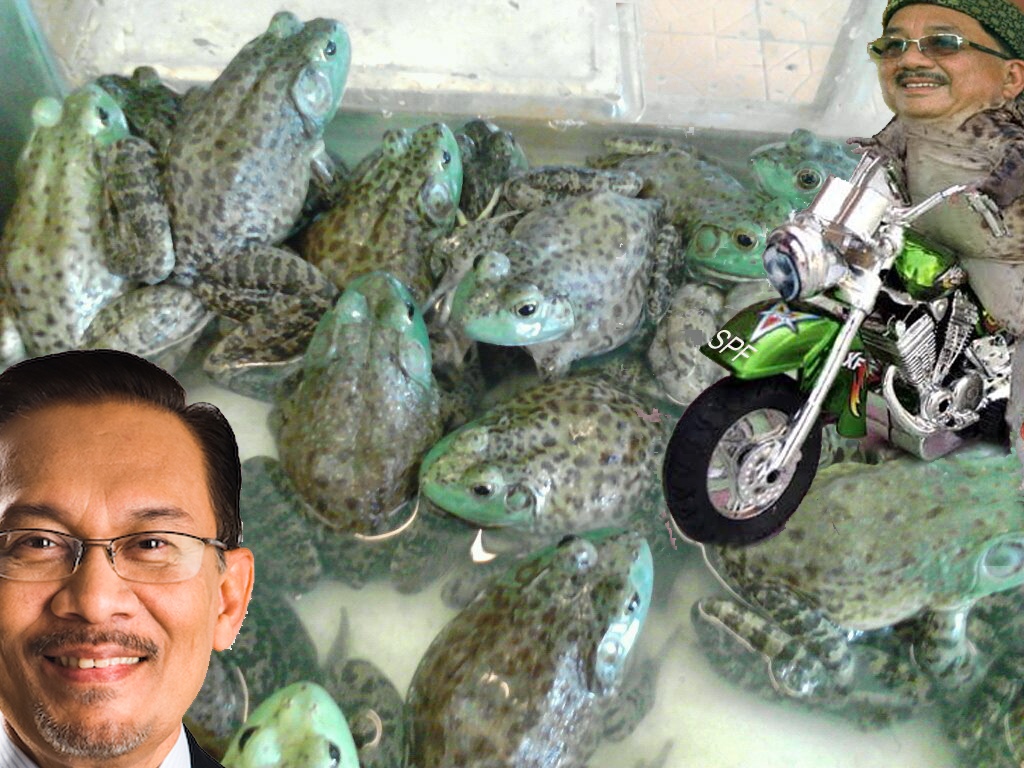 Sabahkini.net - Reveal The Truth, Prevail The Faith: THERE ARE FROGS ...
