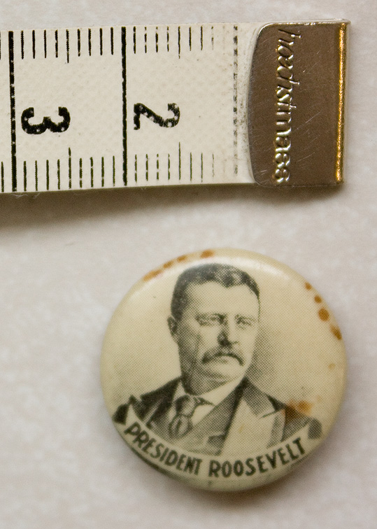 Benton County Museums: President Theodore Roosevelt artifacts at Benton ...