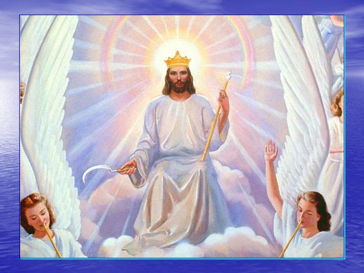 DAILY BIBLE REFLECTIONS: END TIMES