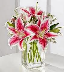 TOKO BUNGA CIKINIFLORIST - JAKARTA: Merangkai Bunga Hidup Atau Bunga Segar