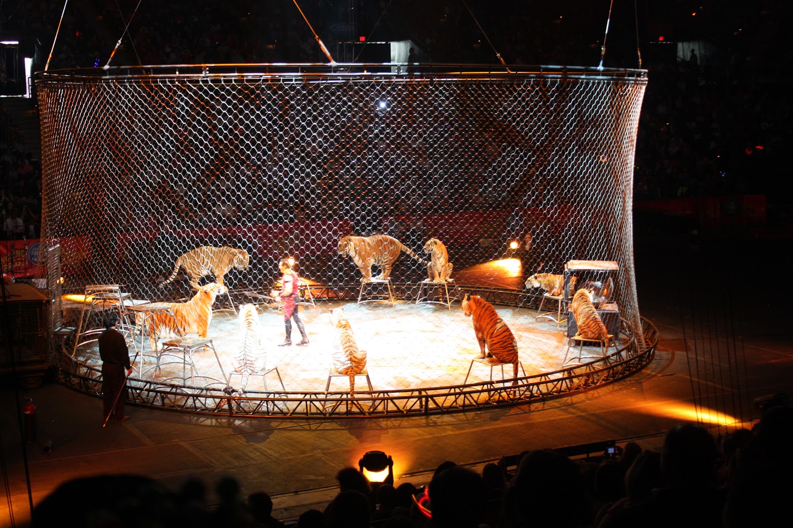 Going Mamarazzi: Hannah's first circus