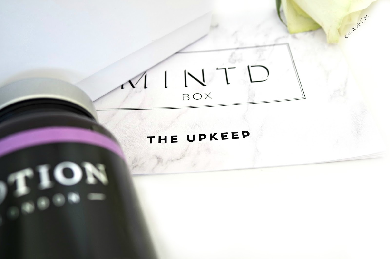 Keeping your Skin in Check • with Mintd Box | KELLiLASH