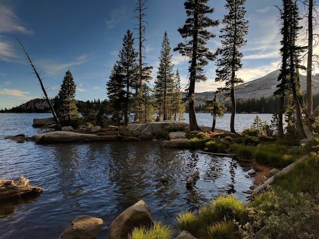 Here are some Google Pixel and Pixel XL Camera Samples and a 4K Video ...