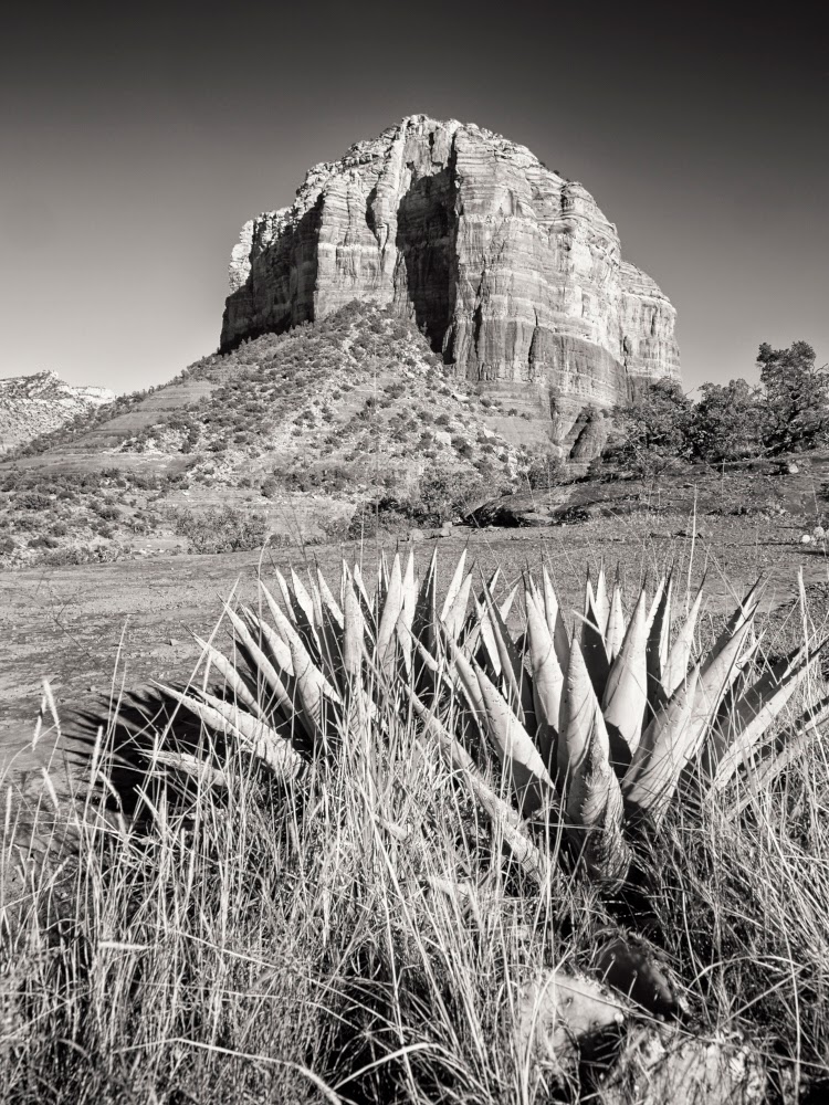 October 2014 ~ Steven Dempsey on Photography