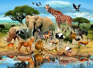 Canlılar aləmi: Heyvanlar,Bitkilər,Göbələklər,Bakteriyalar