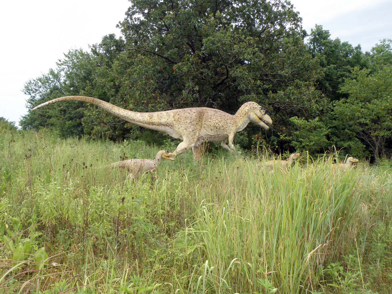 Amazon 59: Dinasaurs and Butterflies