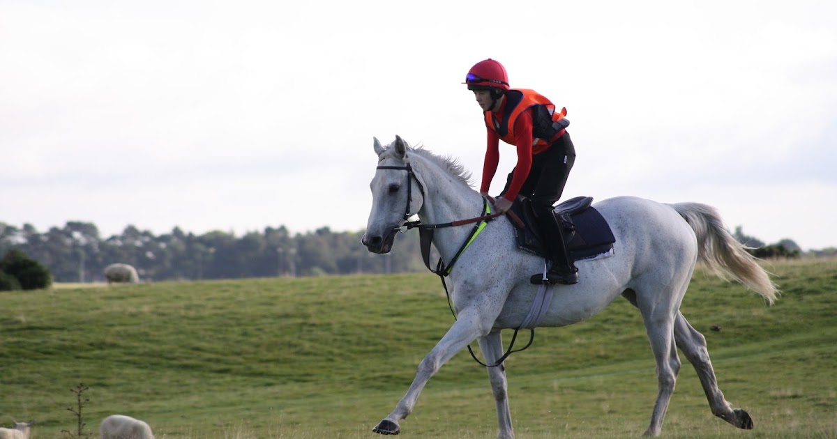 The Daily Life of a Trainee Jockey at RACE: Meet the trainees - John ...