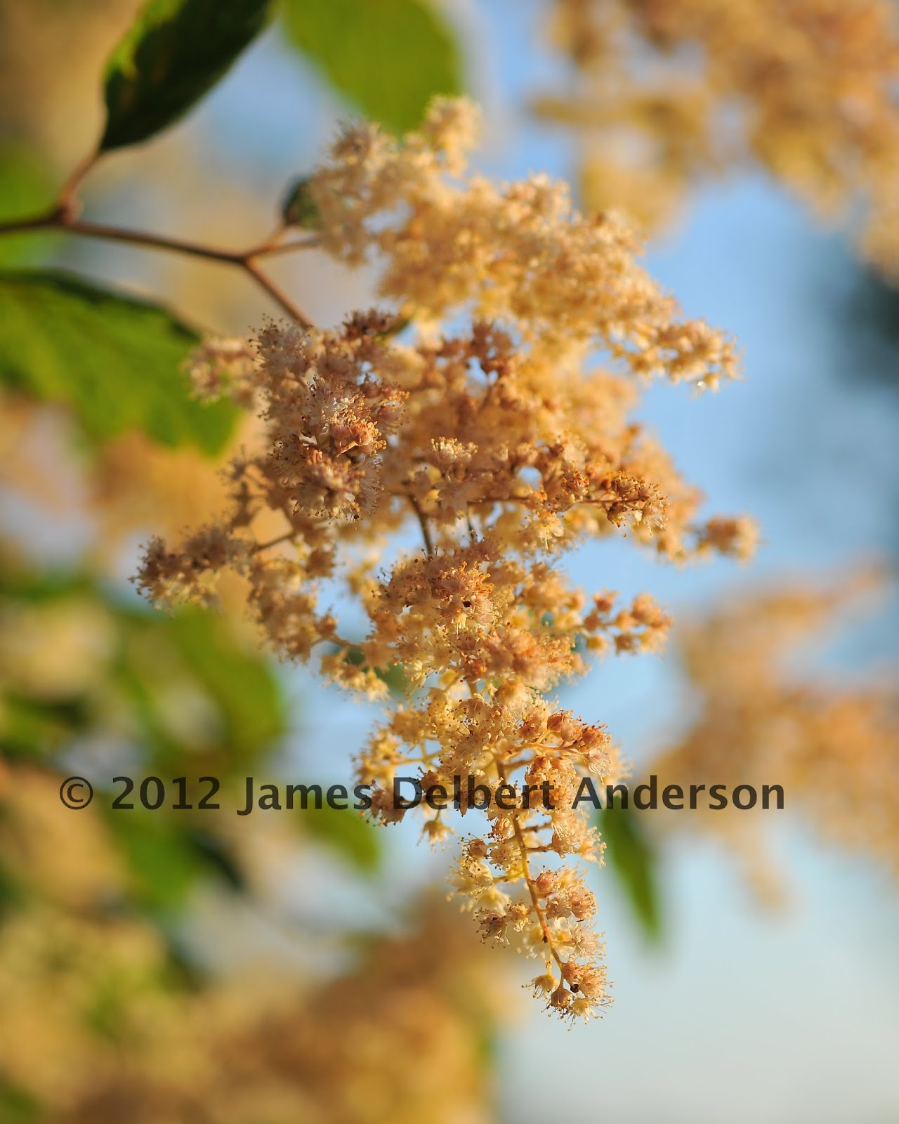 James Delbert Anderson Photography: Whoops!