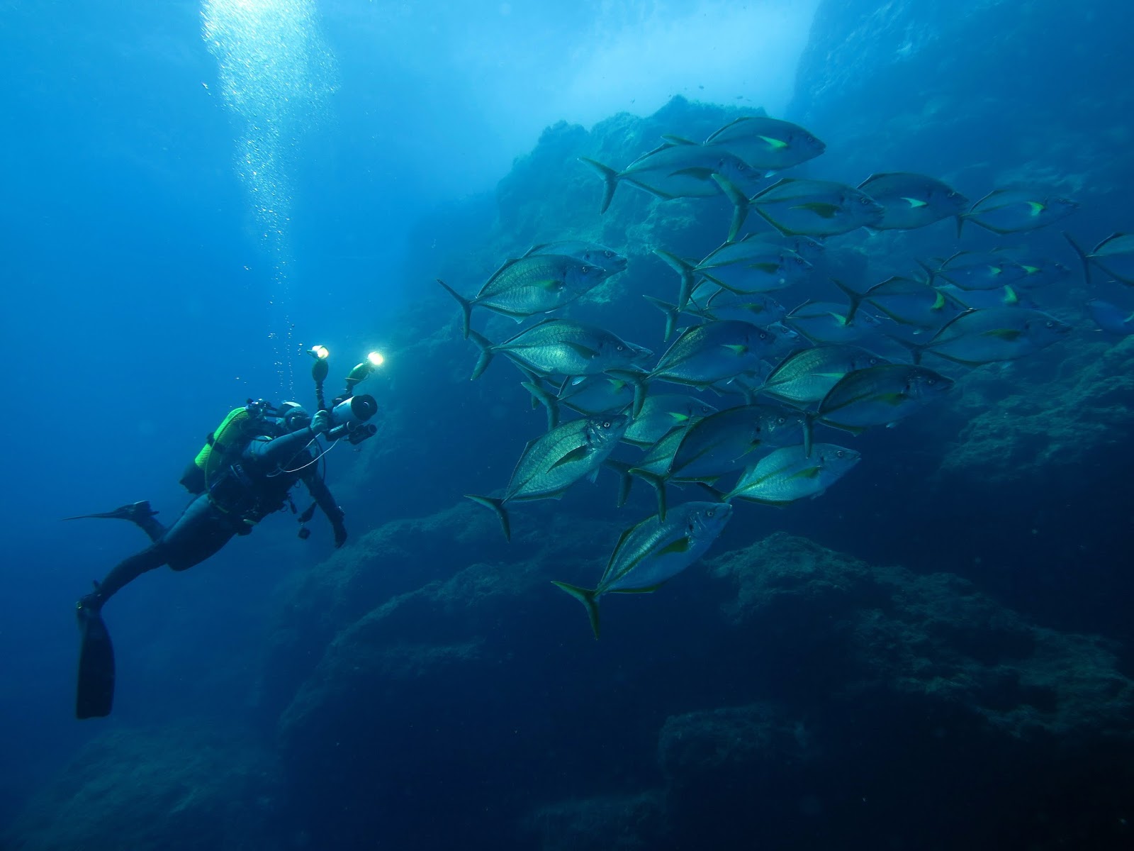 Ilhéus das Formigas, destino de excelência para o mergulho.