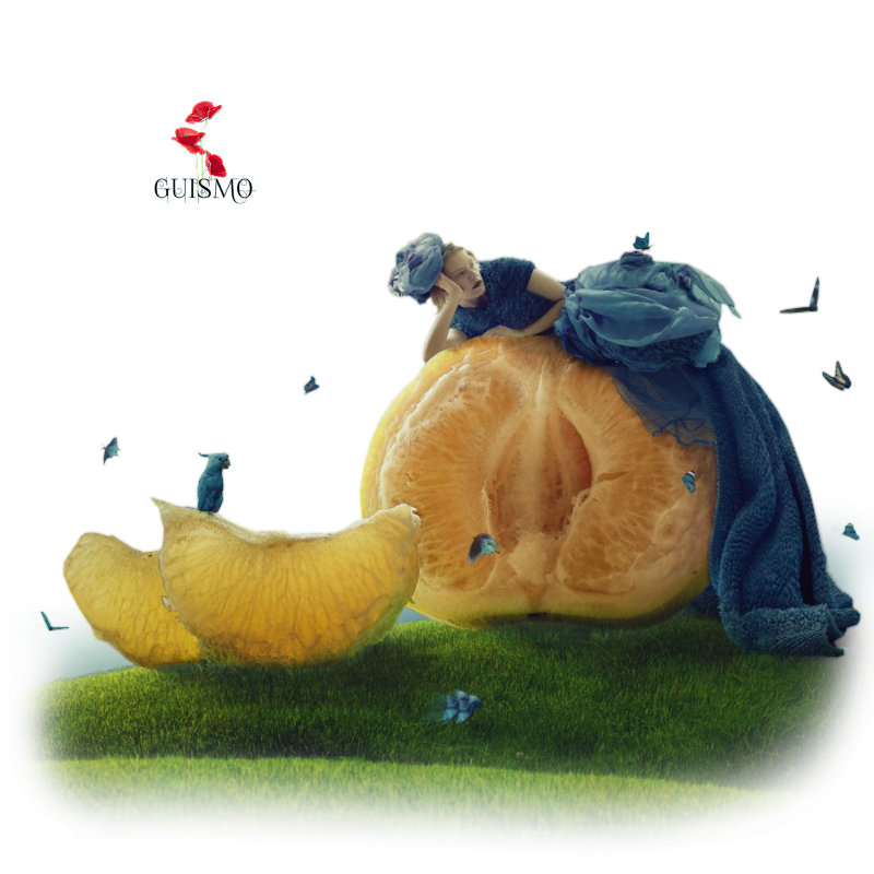 Tube Guismo la passion de créer .: 2017