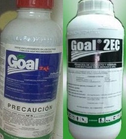 MACAM HERBISIDA DAN PENGGUNAANYA | Pertanian