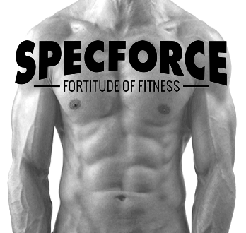 "What is The Alpha Status Handbook"