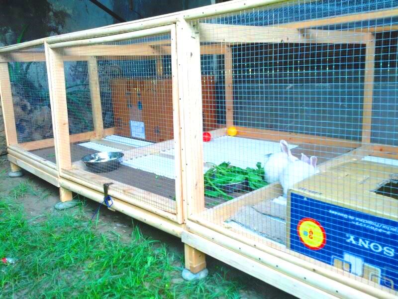 Home Decor: DIY: Rabbit cage for my niece!