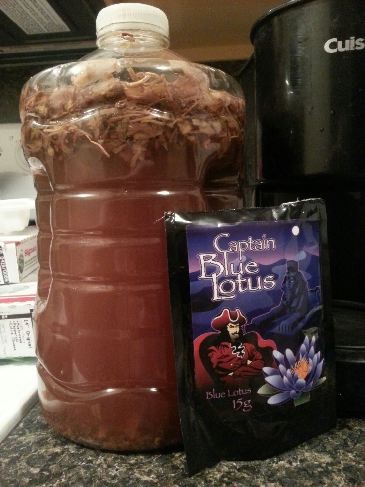 Herbal Headventures: Herbals: Captain Amsterdam's Blue Lotus