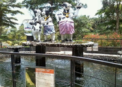Cimory On The Valley Semarang 2022, Harga Tiket + Lokasi + Jam Buka ...