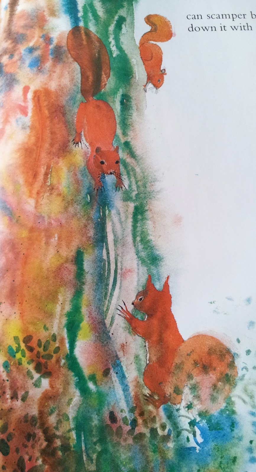 Madi Illustration.: Incredible Illustrators | Brian Wildsmith.