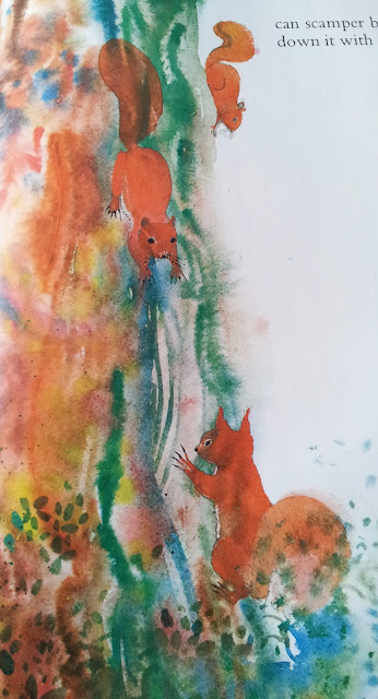 Madi Illustration.: Incredible Illustrators | Brian Wildsmith.