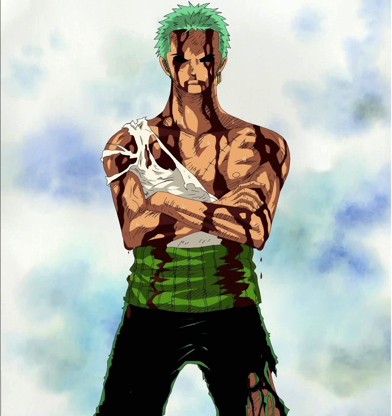 Fakes Number #1: # Roronoa Zoro