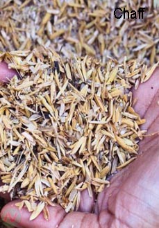 Kitchen Utensils Names, Meaning & Pictures | Necessary Vocabulary ...