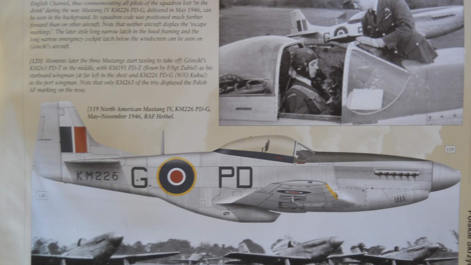 Scale Model Kit Review Blog (SMKR): MMP Books Polish Wings 23 - 303 ...