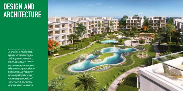 Zayed Home بيت زايد