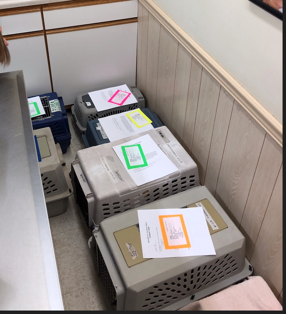 4R Ranch: Trap, Neuter, Release