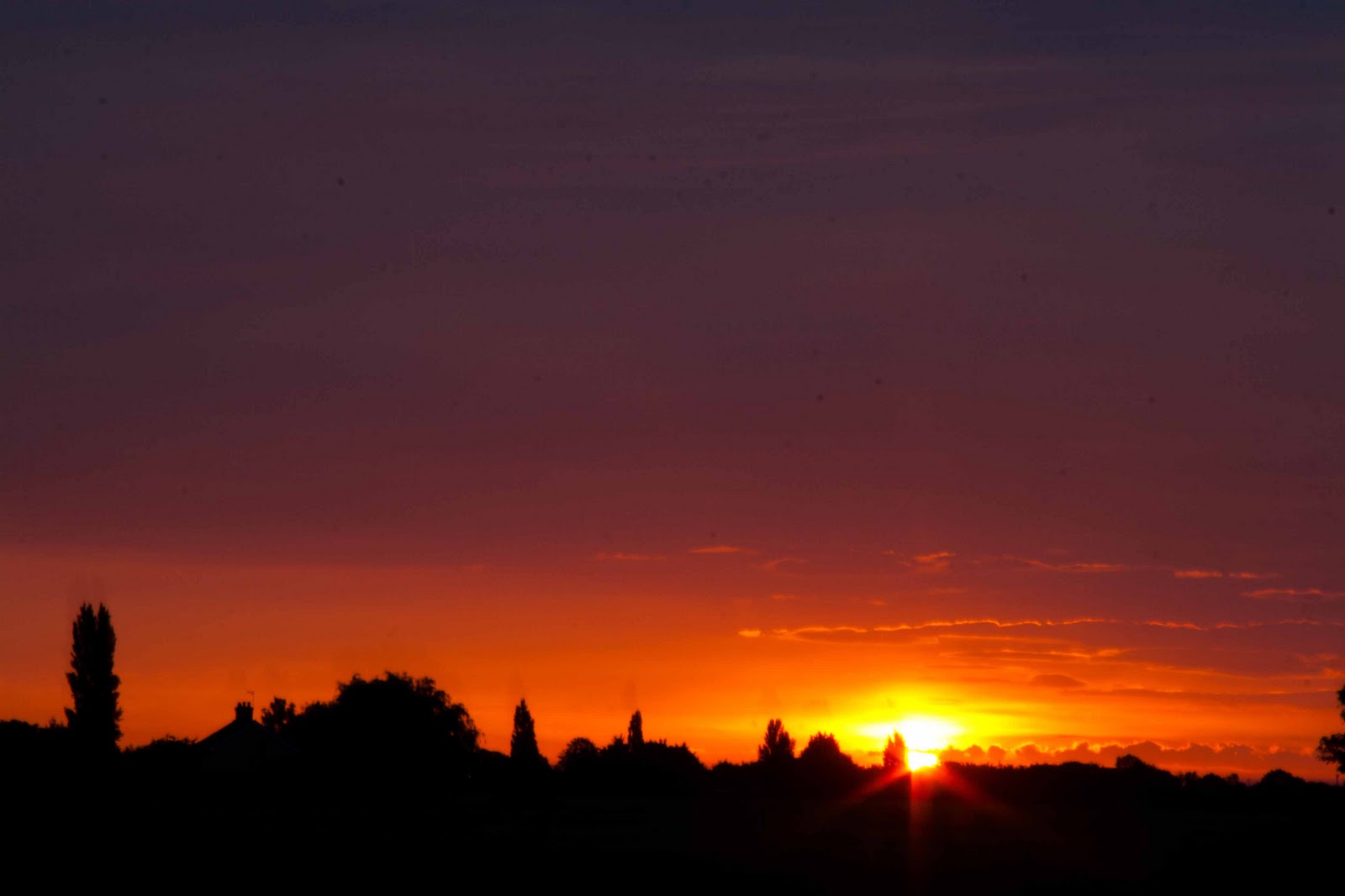 Photo Views, Life through the eye of a camera.: "New Beginnings"