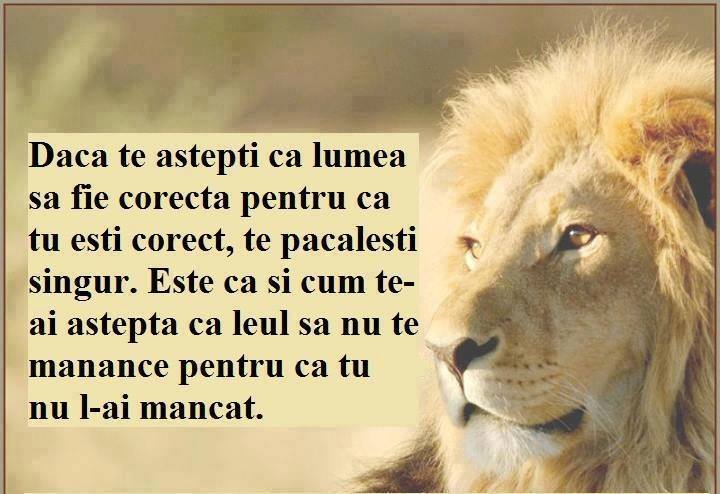 VORBE SI PROVERBE DIN TOATA LUMEA: despre corectitudine